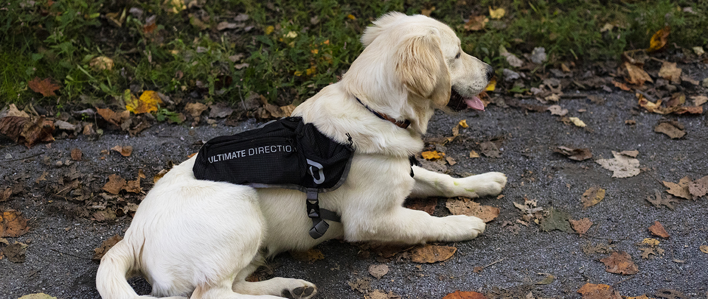 Ultimate Direction Dog Vest – Enwild TrailSense